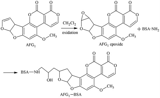 Advances in Antibody Preparation Techniques for Immunoassays of Total ...