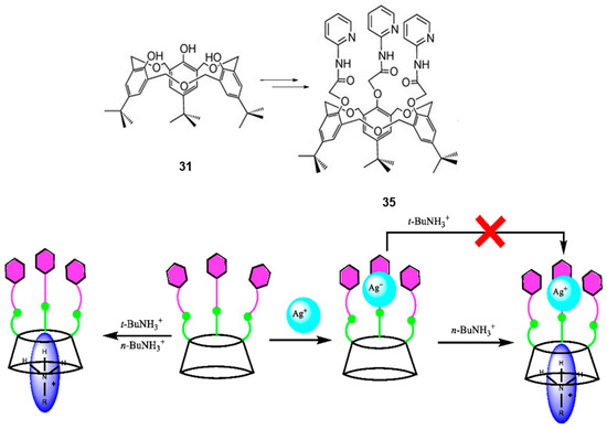 Molecules | Free Full-Text | Calix[3]arene-Analogous Metacyclophanes ...
