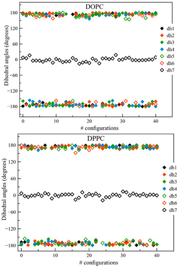 Influence of Membrane Phase on the Optical Properties of DPH