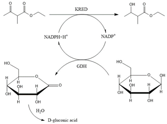 Semi-Continuous Flow Biocatalysis with Affinity Co-Immobilized ...