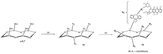 Molecules | Free Full-Text | Cathepsin B-Cleavable Cyclopeptidic ...