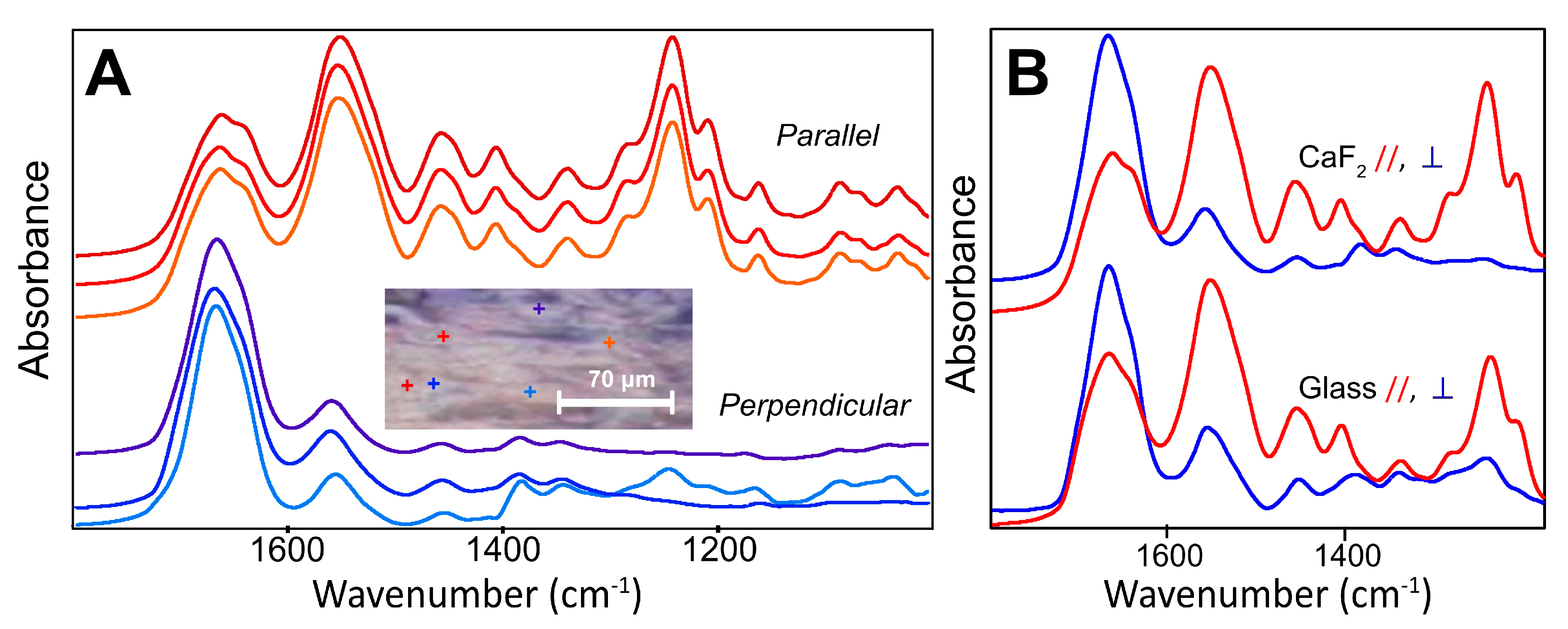 Infrared Spectrum In Nanometers