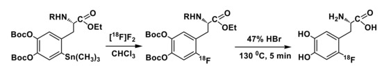 Nucleophilic Synthesis of 6-l-[18F]FDOPA. Is Copper-Mediated ...