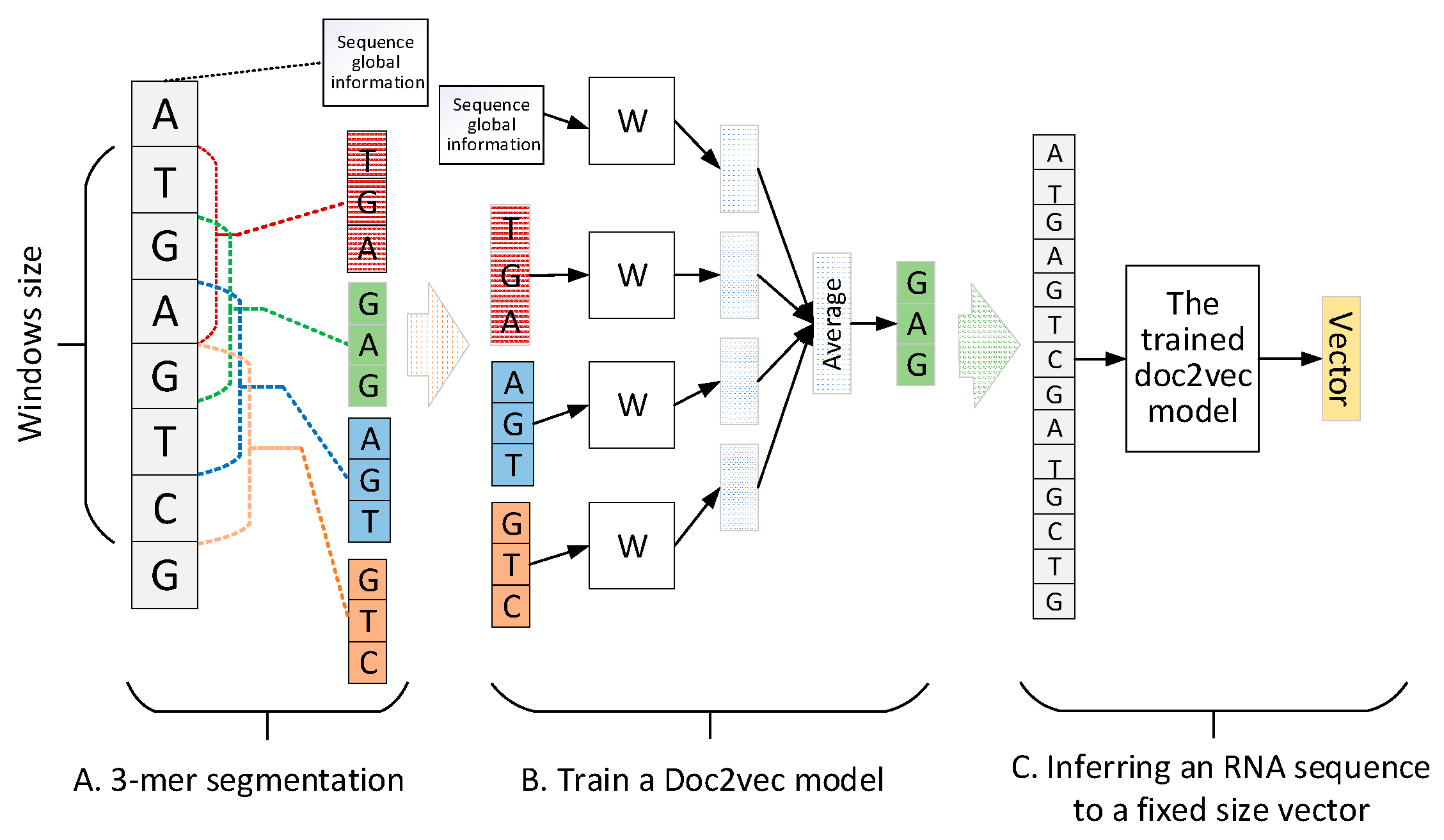 LncMirNet: Predicting LncRNA–miRNA Interaction Based on Deep Learning of Ribonucleic Acid Sequences