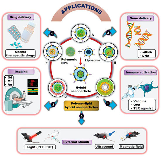 Utilization of Polymer-Lipid Hybrid Nanoparticles for Targeted Anti ...