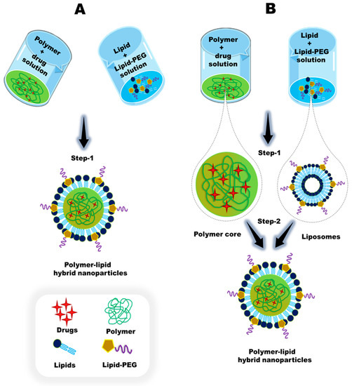 Utilization of Polymer-Lipid Hybrid Nanoparticles for Targeted Anti ...