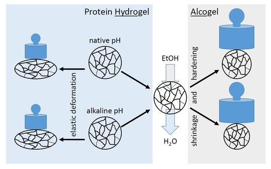 Molecules | Free Full-Text | Effect of Ethanol on the Textural ...