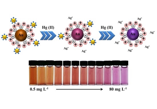 Molecules | Free Full-Text | Highly Sensitive and Selective Colorimetric Sensor of Mercury (II ...