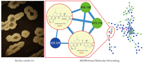 Molecules | Special Issue : Bioactive Compounds from Natural Sources ...