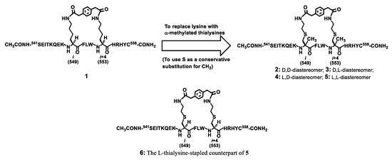 Bis-Lactam Peptide [i, i+4]-Stapling with α-Methylated Thialysines