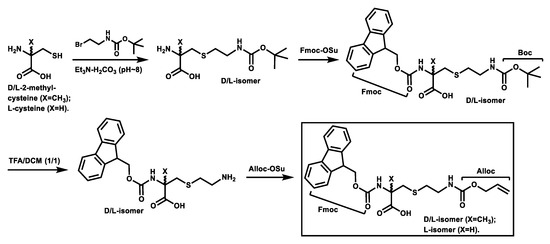 Bis-Lactam Peptide [i, i+4]-Stapling with α-Methylated Thialysines