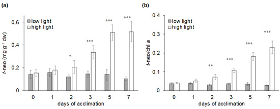 Photoprotective Role of Neoxanthin in Plants and Algae