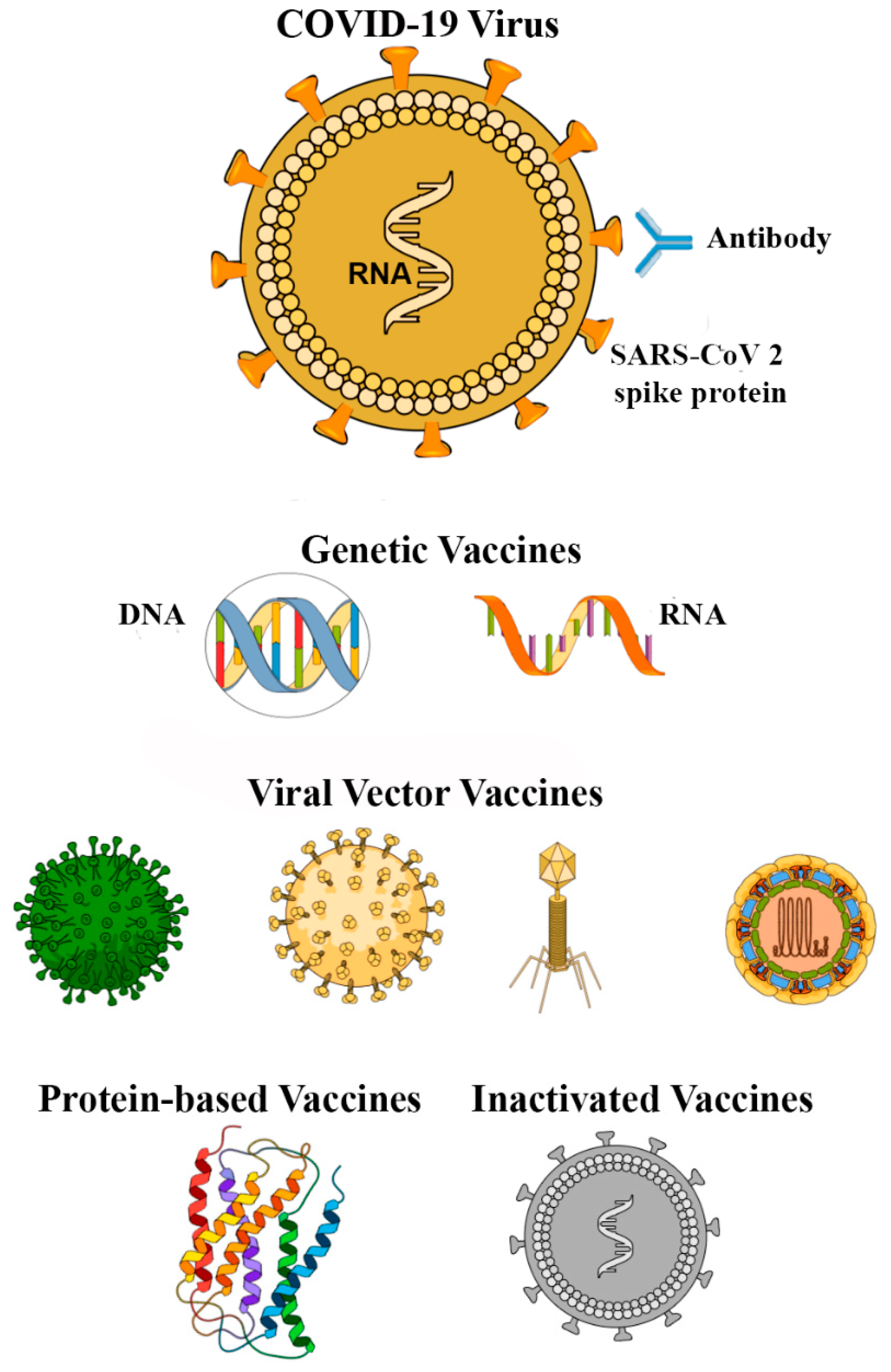Biomedical Science to Tackle the COVID-19 Pandemic: Current Status and ...