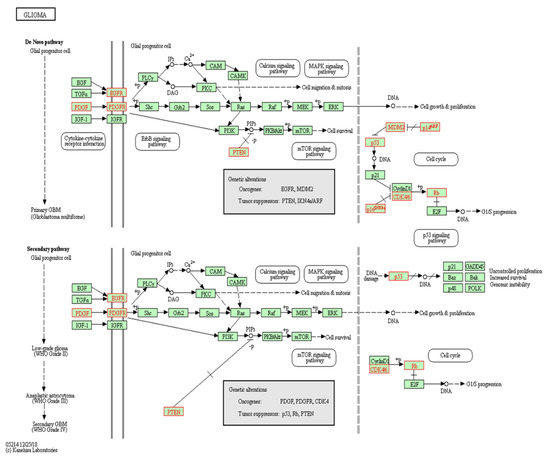 Present and Future of Anti-Glioblastoma Therapies: A Deep Look into ...