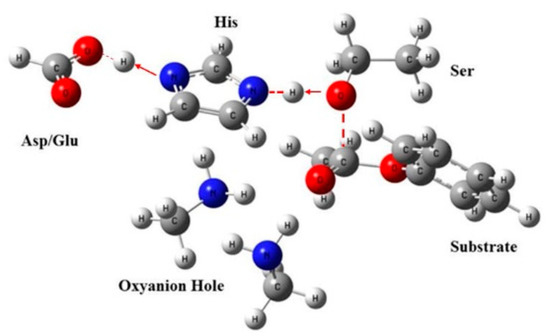 A De Novo Designed Esterase with p-Nitrophenyl Acetate Hydrolysis Activity