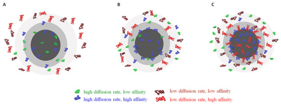 Understanding the Factors Influencing Chitosan-Based Nanoparticles ...