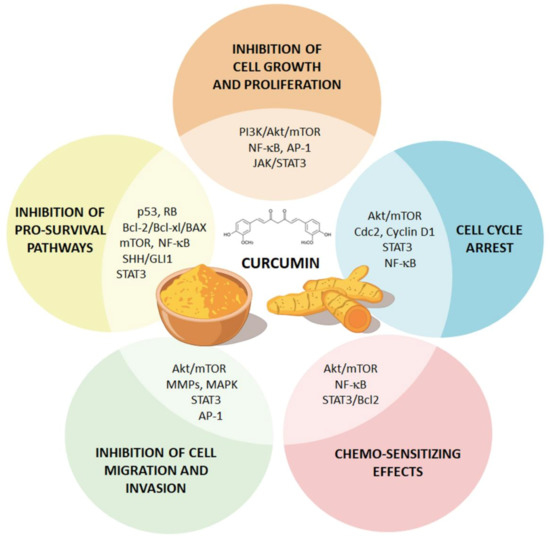 Molecules Free Full Text The Multi Faceted Effect Of Curcumin In