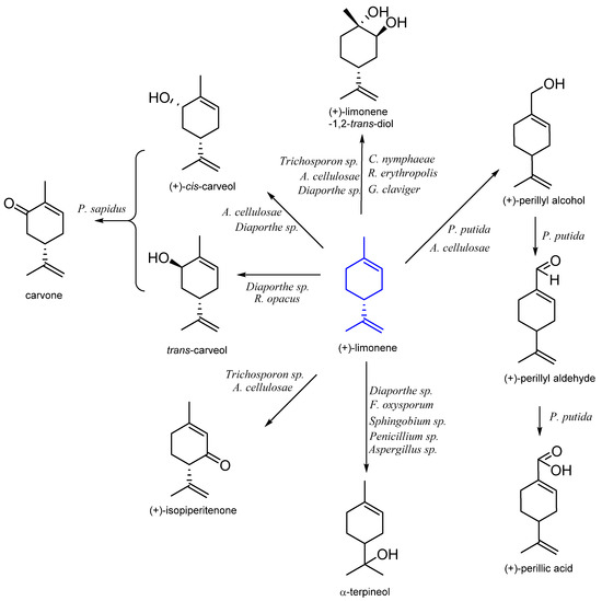 Transformations of Monoterpenes with the p-Menthane Skeleton in the ...