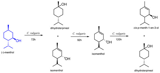 Transformations of Monoterpenes with the p-Menthane Skeleton in the ...