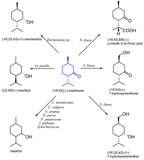 Transformations of Monoterpenes with the p-Menthane Skeleton in the ...