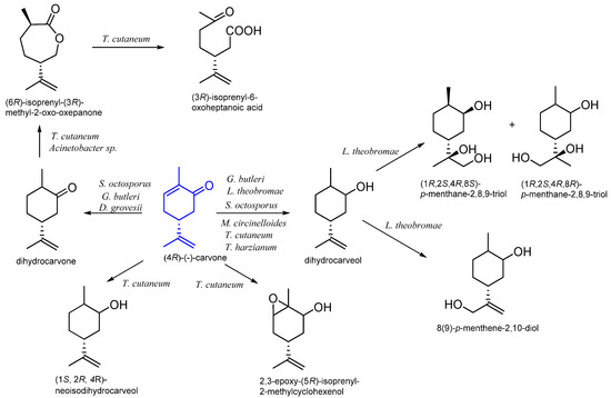 Transformations of Monoterpenes with the p-Menthane Skeleton in the ...