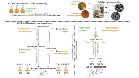 Molecules | Special Issue : Microbial Biotransformation of Natural Products