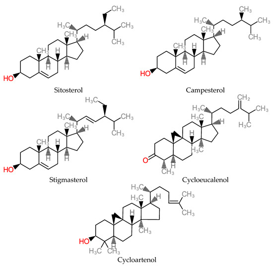 Molecules Free Full Text Potentials Of Musa Species Fruits Against