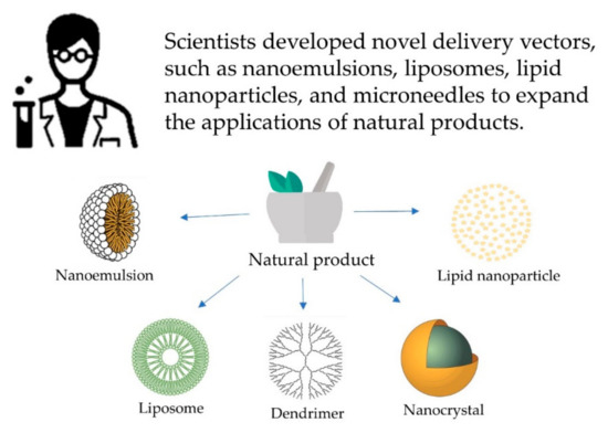 Transdermal Delivery Systems of Natural Products Applied to Skin ...