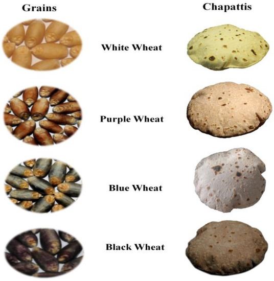 Influence of Biofortified Colored Wheats (Purple, Blue, Black) on ...