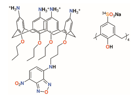 Antimicrobial Activity of Calixarenes and Related Macrocycles