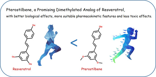 Molecules | Free Full-Text | Recent Advances in Synthesis, Bioactivity ...