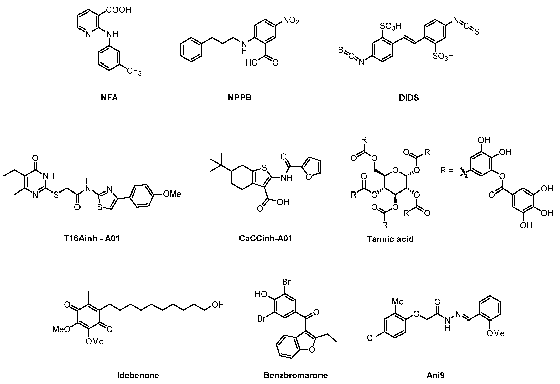 Design of Anticancer 2,4-Diaminopyrimidines as Novel Anoctamin 1 (ANO1 ...