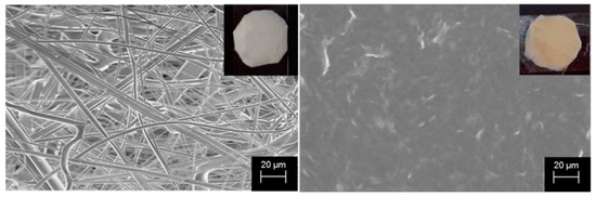 Antimicrobial s-PBC Coatings for Innovative Multifunctional Water Filters