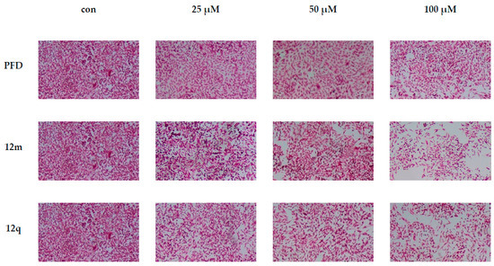 Synthesis of Novel 2-(Pyridin-2-yl) Pyrimidine Derivatives and Study of ...