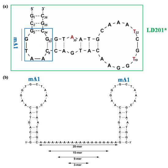 Dimeric and Multimeric DNA Aptamers for Highly Effective Protein ...