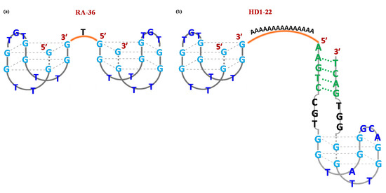 Dimeric and Multimeric DNA Aptamers for Highly Effective Protein ...