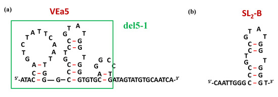 Dimeric and Multimeric DNA Aptamers for Highly Effective Protein ...