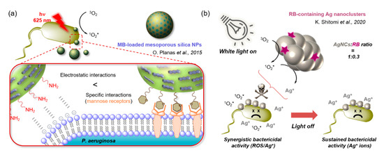 Design of Photosensitizing Agents for Targeted Antimicrobial ...