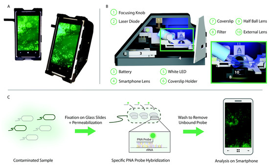 Molecules | Free Full-Text | Advances in Optical Detection of Human ...