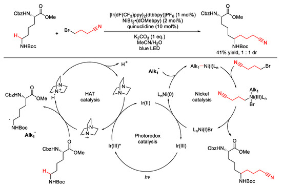 Recent Advances in Rapid Synthesis of Non-proteinogenic Amino Acids ...