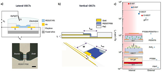 Organic Electrochemical Transistors (OECTs) Toward Flexible and ...