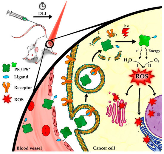 Ligand-Targeted Delivery of Photosensitizers for Cancer Treatment