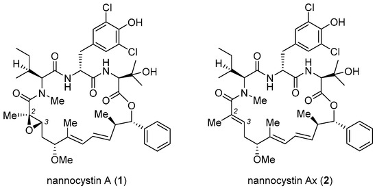 From Target-Oriented to Motif-Oriented: A Case Study on Nannocystin ...