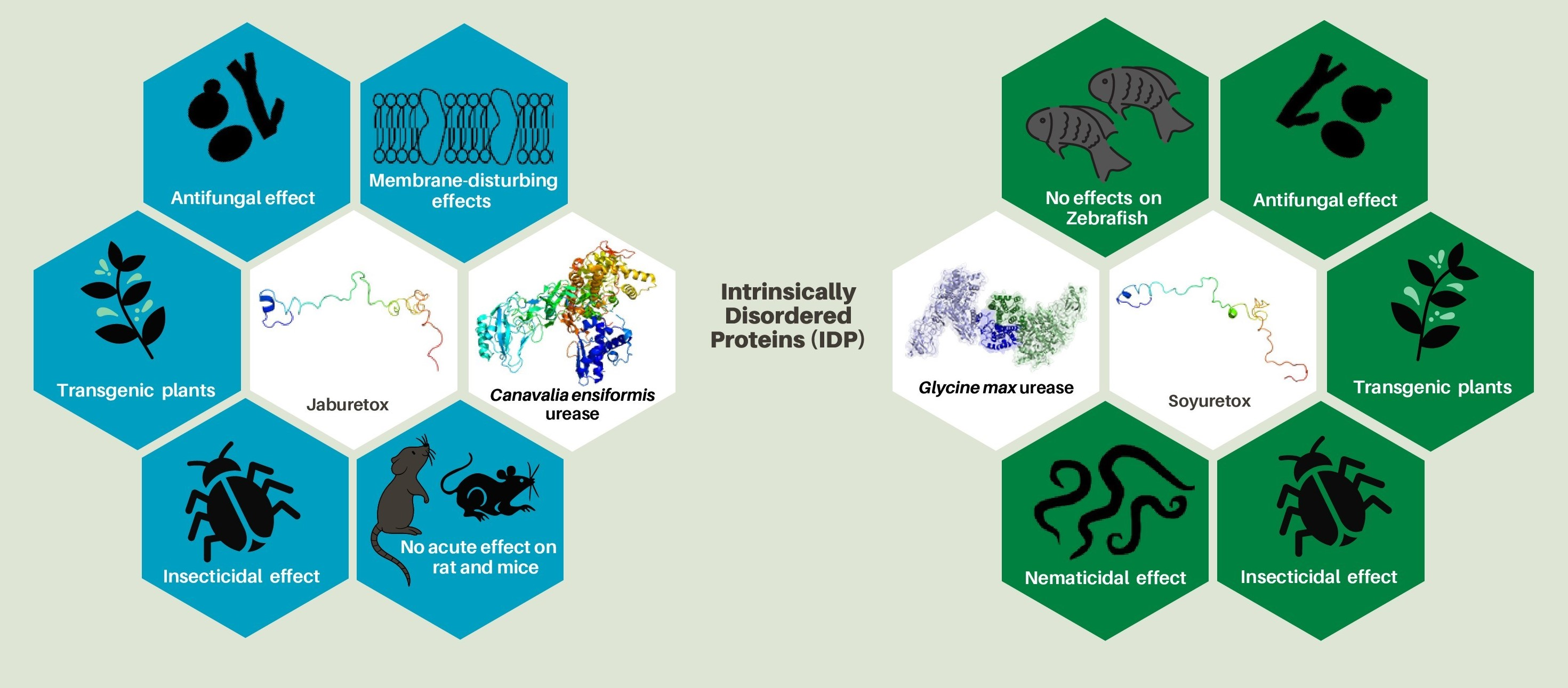 Molecules | Free Full-Text | Structure-Function Insights of Jaburetox ...