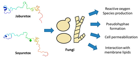 Molecules | Free Full-Text | Structure-Function Insights of Jaburetox ...