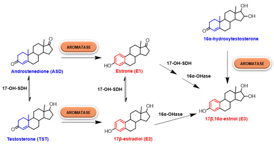 Reconsidering Aromatase for Breast Cancer Treatment: New Roles for an ...