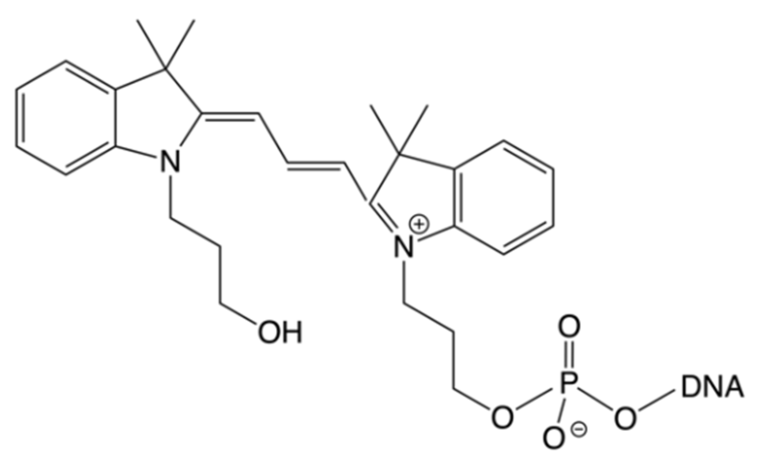 Dependence of Fluorescence Quenching of CY3 Oligonucleotide Conjugates ...