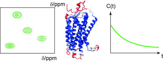 Molecules | Free Full-Text | The Dynamics of the Neuropeptide Y ...