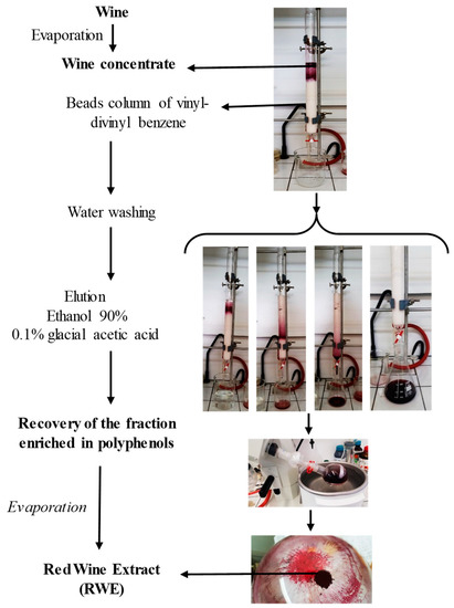 Red Wine Extract Inhibits VEGF Secretion and Its Signaling Pathway in ...