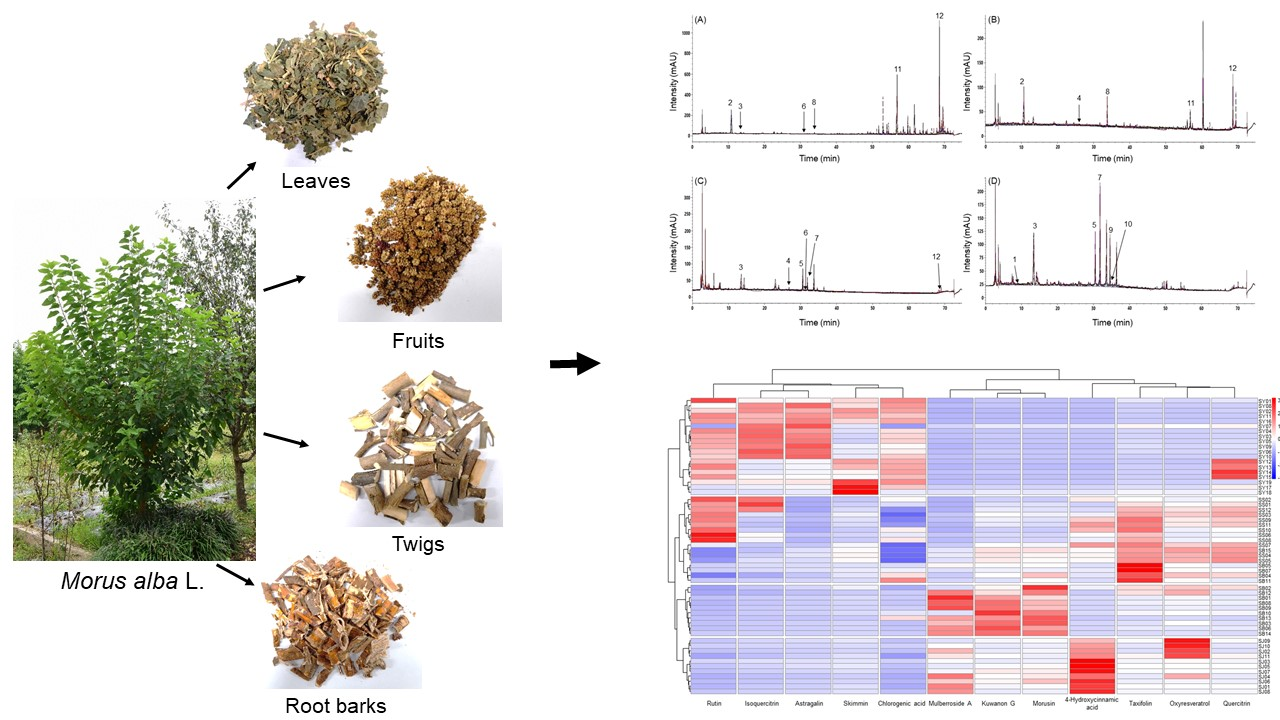 Molecules | Free Full-Text | Quantitative Comparison of the Marker ...